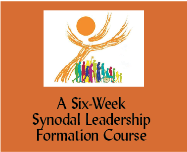 Walking the Path of Synodality in the Footsteps of Pope Francis | LCWR